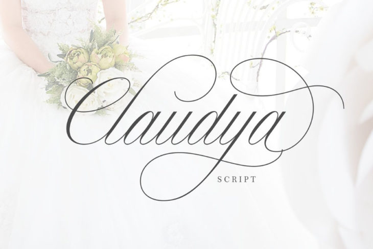 41 Delicate Calligraphy Fonts To Make Your Designs Extraordinary | HipFonts
