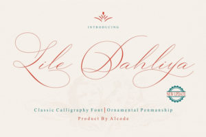 42 Delicate Calligraphy Fonts To Make Your Designs Extraordinary | HipFonts