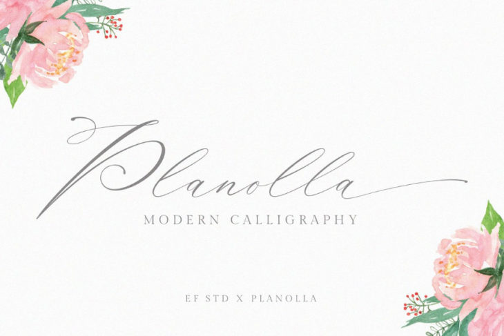 41 Delicate Calligraphy Fonts To Make Your Designs Extraordinary | HipFonts