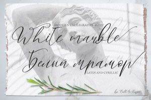 41 Delicate Calligraphy Fonts To Make Your Designs Extraordinary | HipFonts