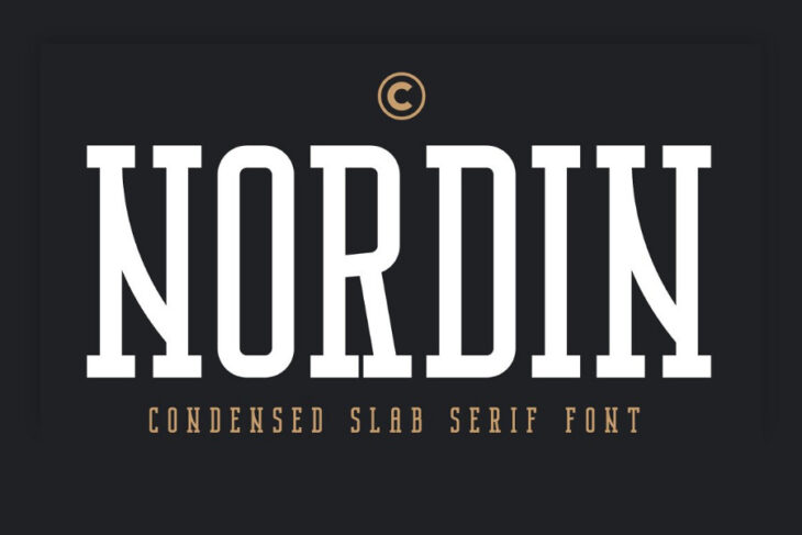 22 Lovely Slab Serif Fonts To Bring New Shape To Your Works | HipFonts
