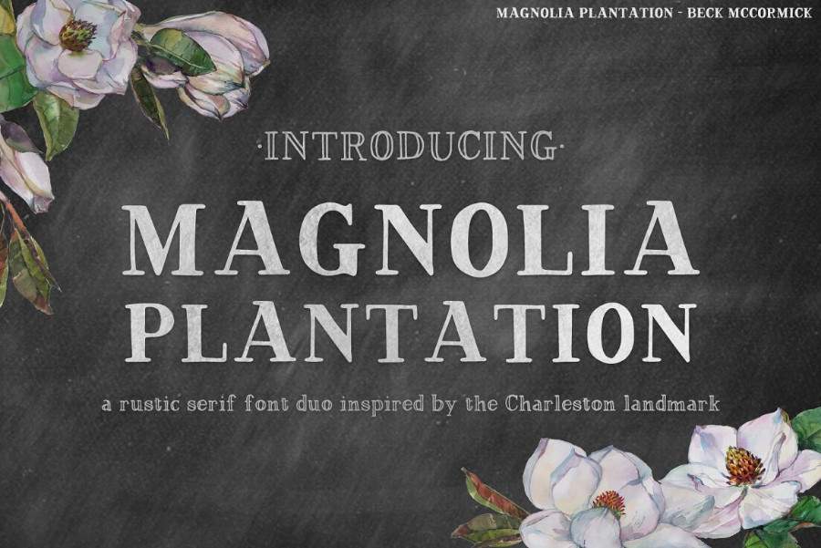 32 Premium Farmhouse Fonts that are as Beautiful as they are Handy ...