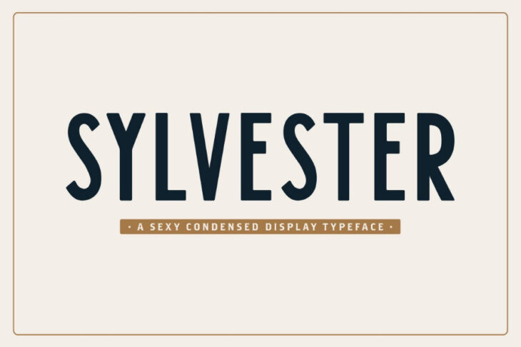 31 Remarkable Mid Century Modern Fonts That Perfectly Captured The ...
