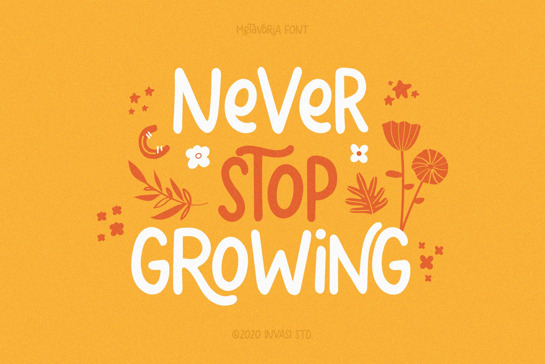 28 Unique Fonts That Will Make Your Procreate Creations Stand Out ...