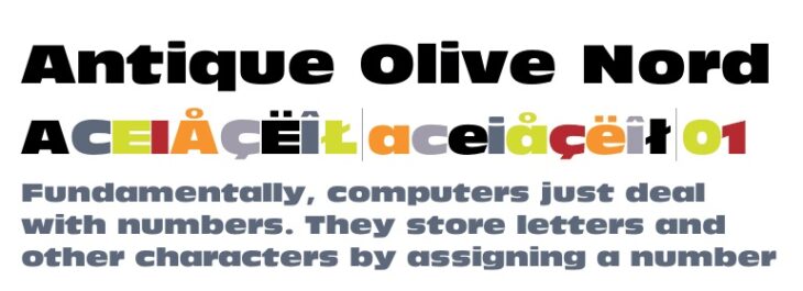 What Is the Chicago Bears Font Called? | HipFonts
