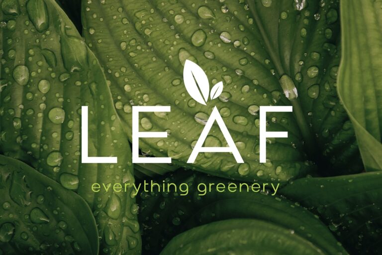 27 Zen Spa Fonts for the Modern Design | HipFonts