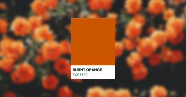 burnt orange complementary colors | HipFonts