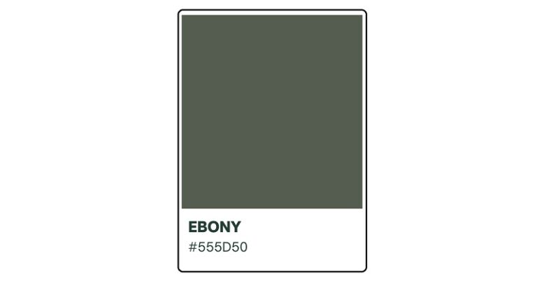 All You Need To Know About Ebony Color and Its Alluring Charm | HipFonts