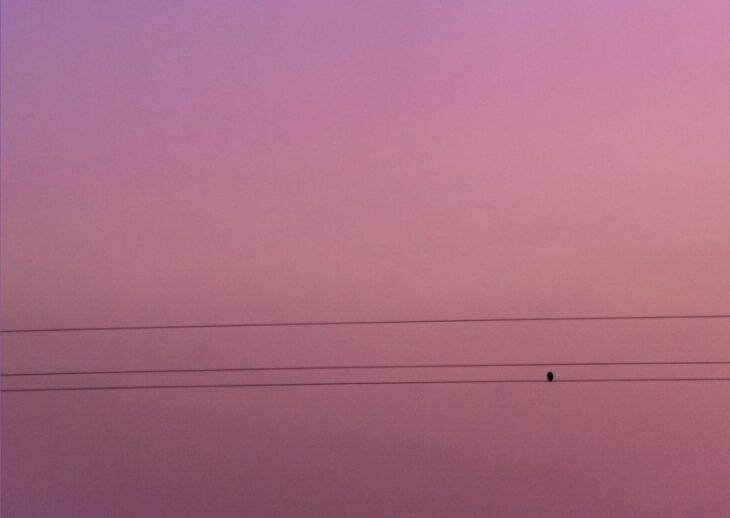 What Makes the Puce Color So Elegant and Captivating | HipFonts