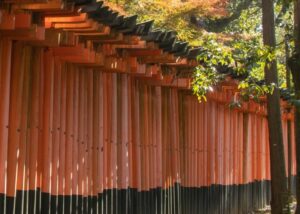 The Fascinating History and Significance Behind Vermilion Color | HipFonts