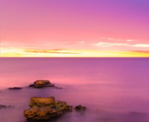 What Makes the Puce Color So Elegant and Captivating | HipFonts