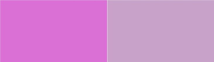 Orchid Color – What Does It Mean Symbolically? | HipFonts