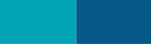 The Peacock Blue Color and Everything to Know About It | HipFonts