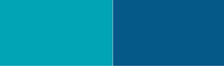 The Peacock Blue Color and Everything to Know About It | HipFonts