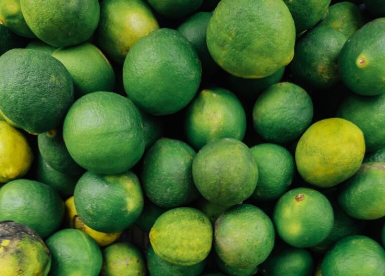 The Meaning of Lime Green and How the Color Can Inspire Your Artistic ...