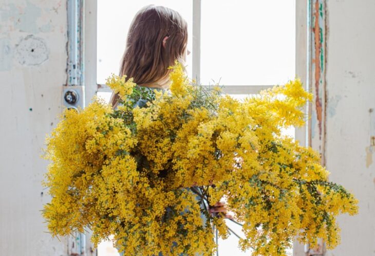 Finding Joy, Optimism, And Warmth With The Mimosa Color | HipFonts