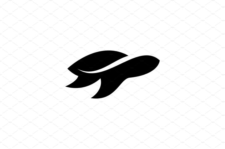 16 Stylish Turtle Logos for the Modern Brand or Business | HipFonts