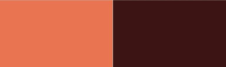 Burnt Sienna: A Dive into One of Nature’s Most Symbolic Colors | HipFonts