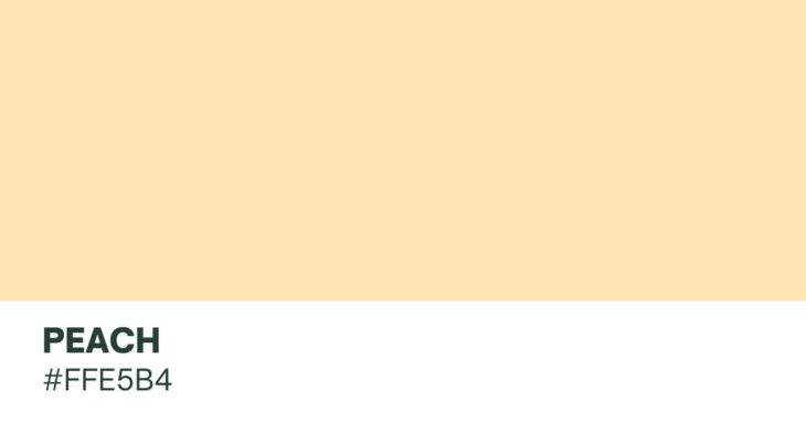 Peach Perfect: Exploring the Delicate Charms of the Peach Color | HipFonts