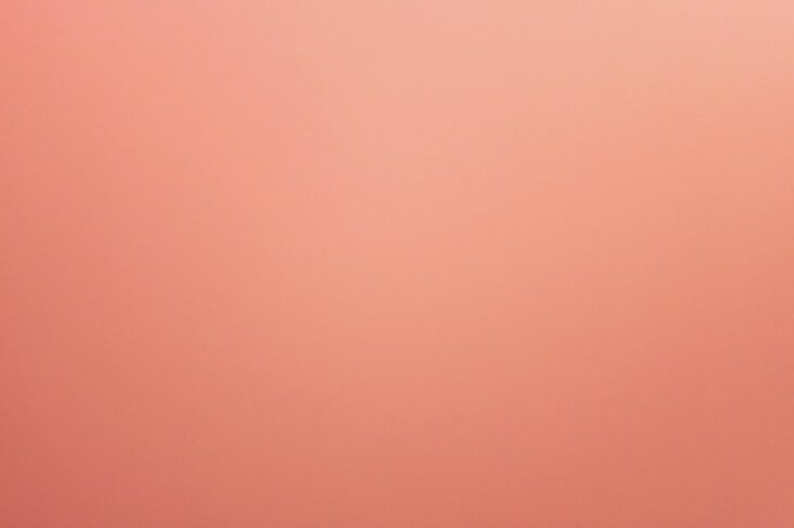 Salmon Color: A Guide on Its Meaning, Symbolism, and Applications ...