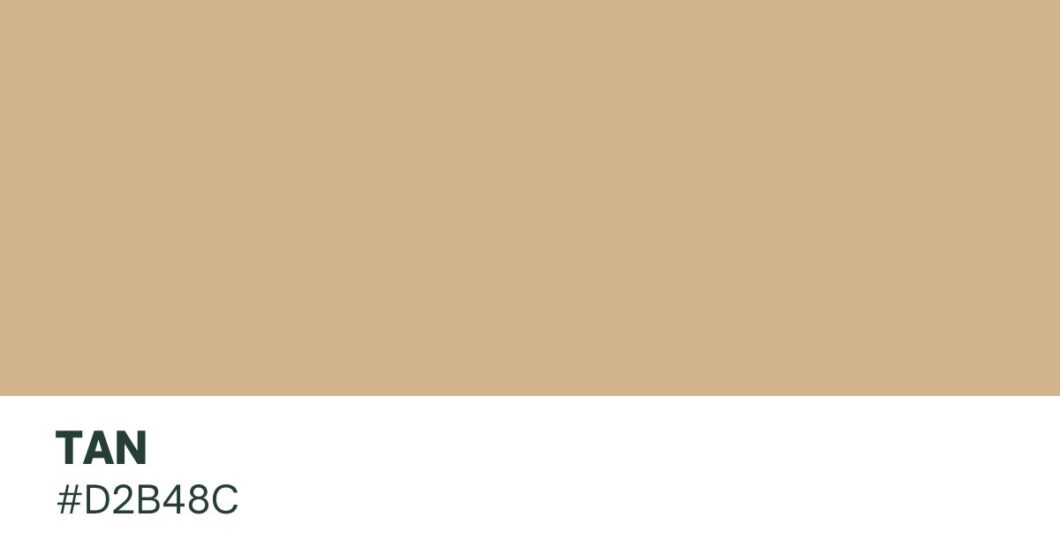 Tan Color: Exploring the Depths of Subdued Sophistication | HipFonts