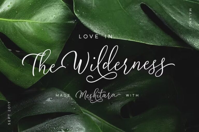 25 Essential Nature Fonts for Eco-Conscious Designers | HipFonts