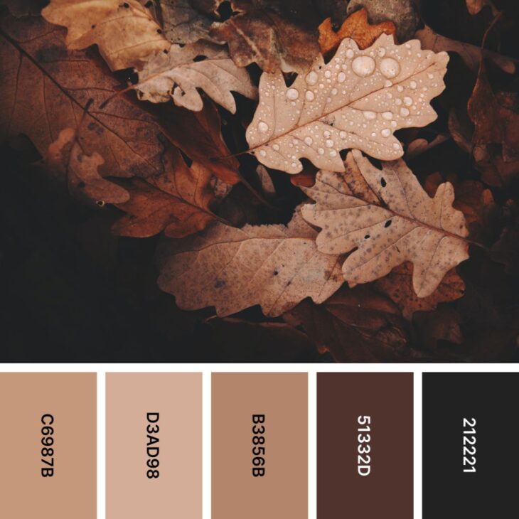 Autumnal Alchemy: 45 Color Palettes to Transform Your Designs | HipFonts