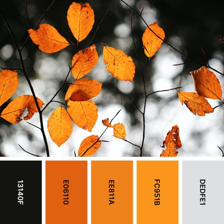 Autumnal Alchemy: 45 Color Palettes to Transform Your Designs | HipFonts