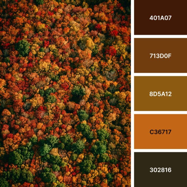 Autumnal Alchemy: 45 Color Palettes to Transform Your Designs | HipFonts