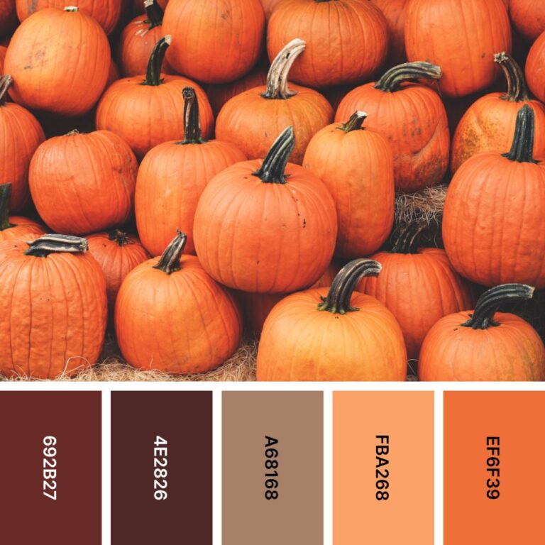 Autumnal Alchemy: 45 Color Palettes to Transform Your Designs | HipFonts