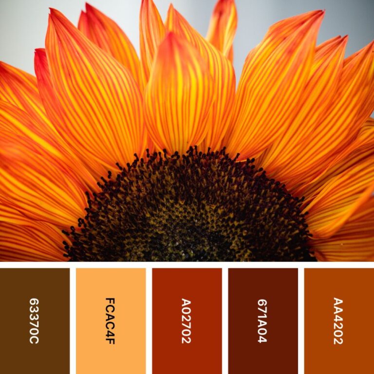 Autumnal Alchemy: 45 Color Palettes to Transform Your Designs | HipFonts