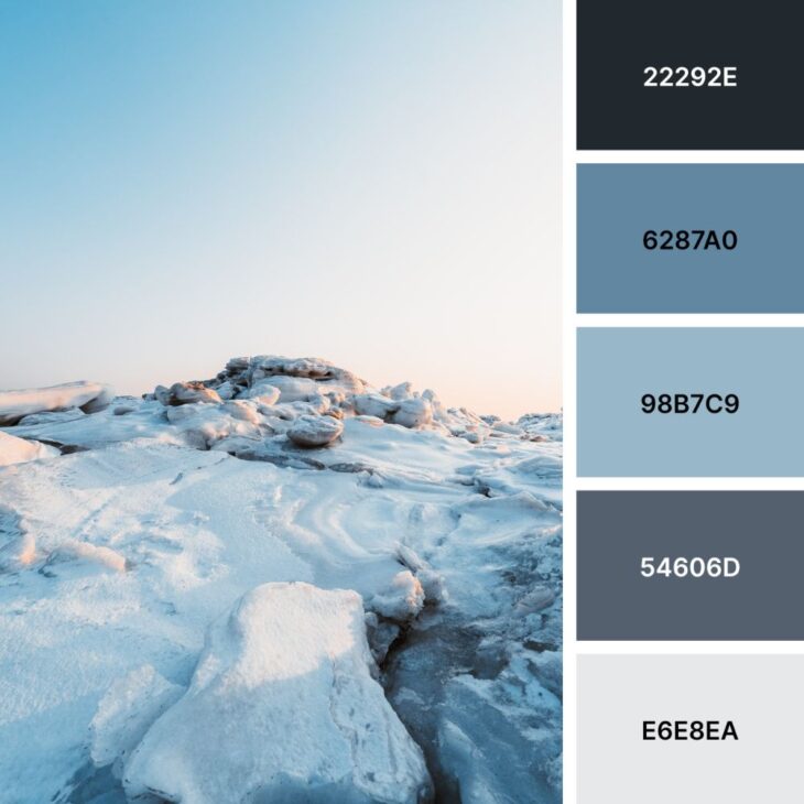 30 Enchanting Deep Winter Color Palettes | HipFonts