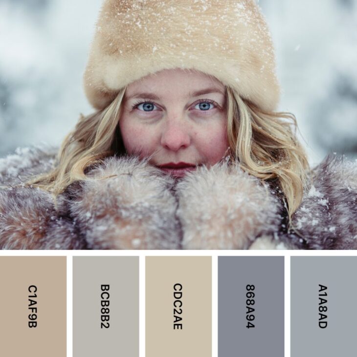 30 Enchanting Deep Winter Color Palettes | HipFonts