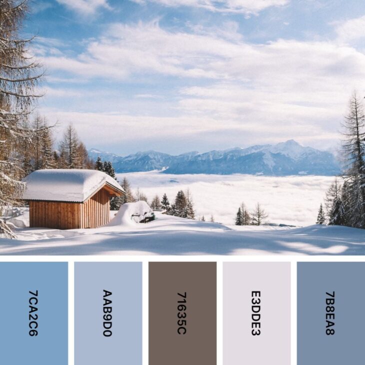 30 Enchanting Deep Winter Color Palettes | HipFonts