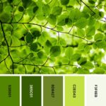 30 Green Color Palettes for Earthy Enthusiasts | HipFonts