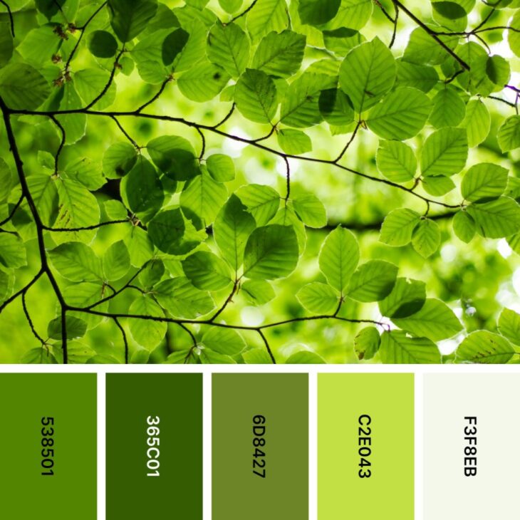 30 Green Color Palettes for Earthy Enthusiasts | HipFonts