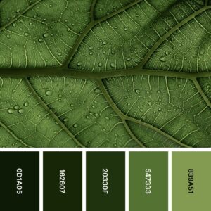 30 Green Color Palettes for Earthy Enthusiasts | HipFonts