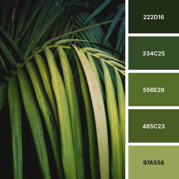 30 Green Color Palettes for Earthy Enthusiasts | HipFonts