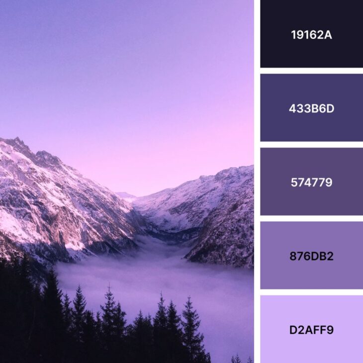 Royal Hues: 40+ Purple Color Palettes for Majestic Creations | HipFonts