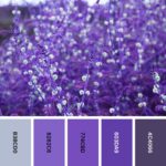 Royal Hues: 40+ Purple Color Palettes for Majestic Creations | HipFonts