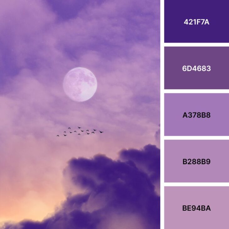 Royal Hues: 40+ Purple Color Palettes for Majestic Creations | HipFonts