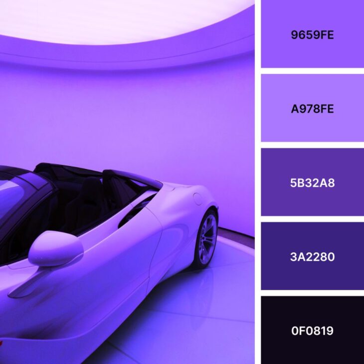 Royal Hues: 40+ Purple Color Palettes for Majestic Creations | HipFonts