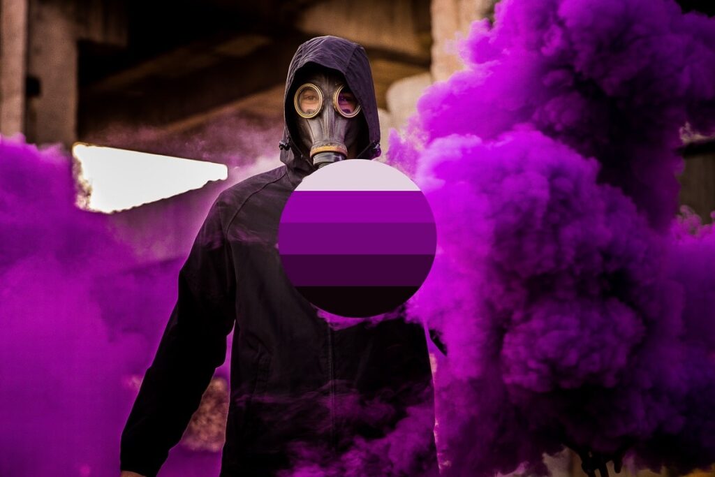 Royal Hues: 40+ Purple Color Palettes for Majestic Creations | HipFonts