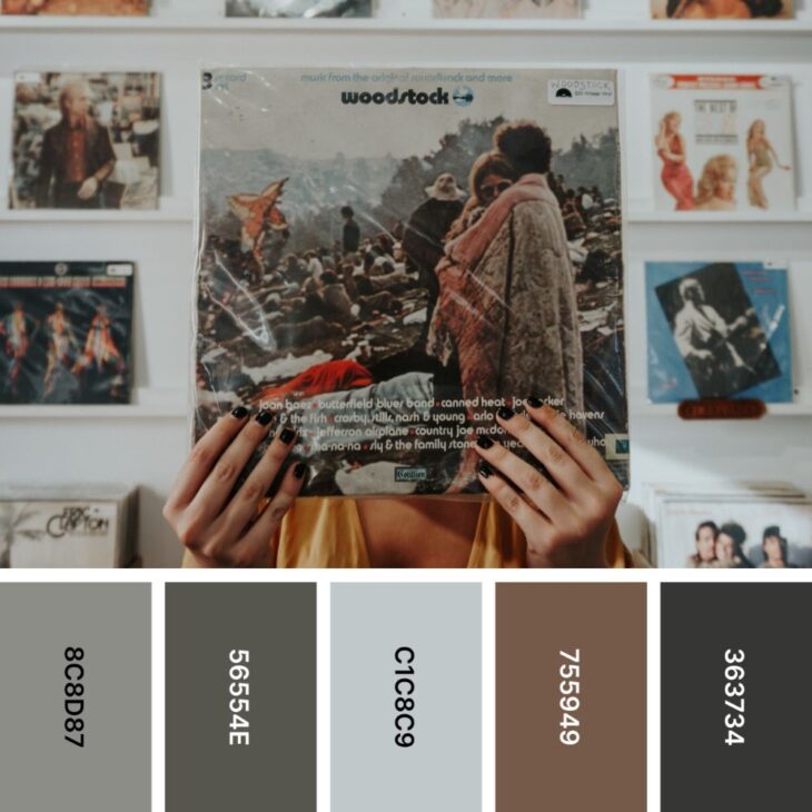 Vintage Vibes: 40 Retro Palettes to Rekindle Your Designs | HipFonts