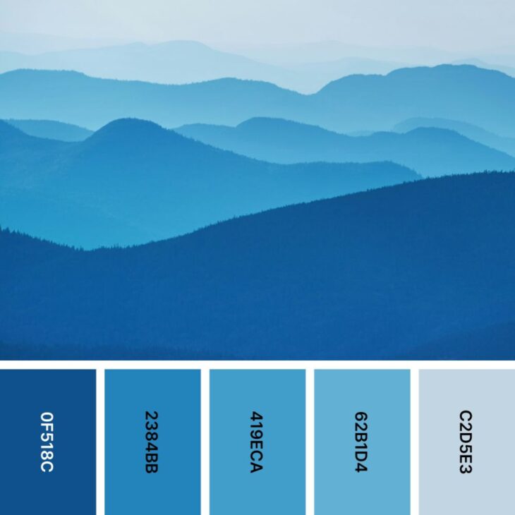 Blueprints of Cool: 30 Blue Color Palettes for Slick Creations | HipFonts