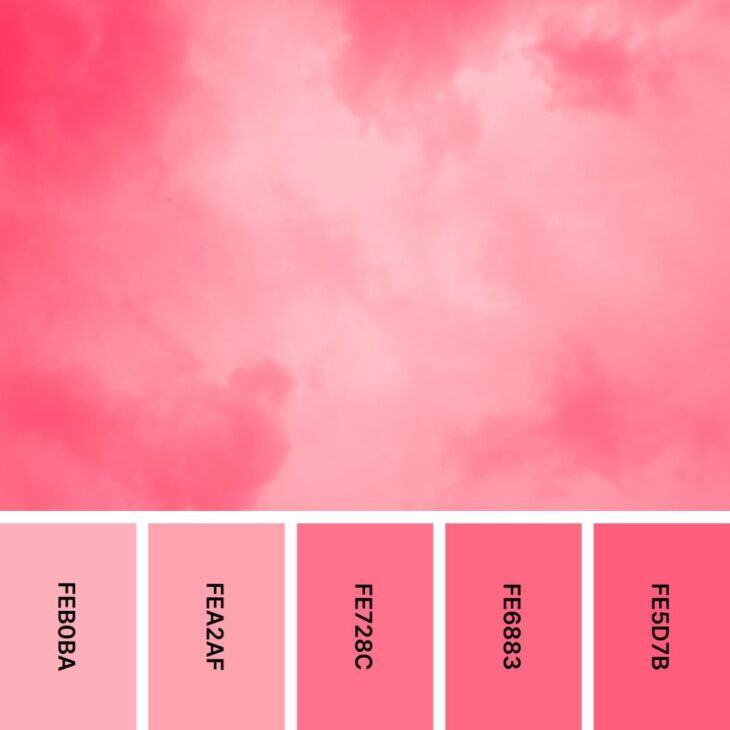 30 Inspiring Pink Color Palettes for Creative Minds | HipFonts