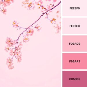 30 Inspiring Pink Color Palettes for Creative Minds | HipFonts