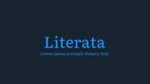 12 Best Kindle Fonts To Elevate Your E-reading Experience | HipFonts