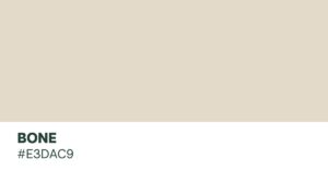 Behind the Aesthetics and Nuances of the Bone Color | HipFonts