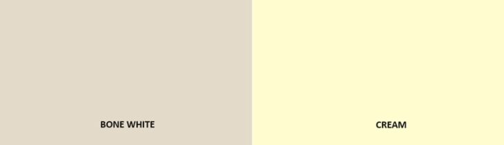 Behind the Aesthetics and Nuances of the Bone Color | HipFonts